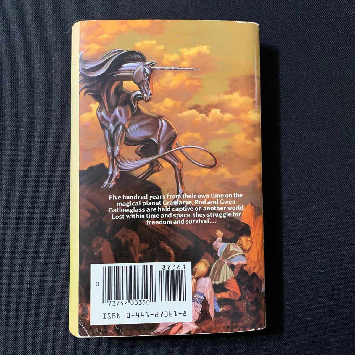 BOOK Christopher Stasheff 'Warlock Wandering' (1986) PB fantasy – The ...