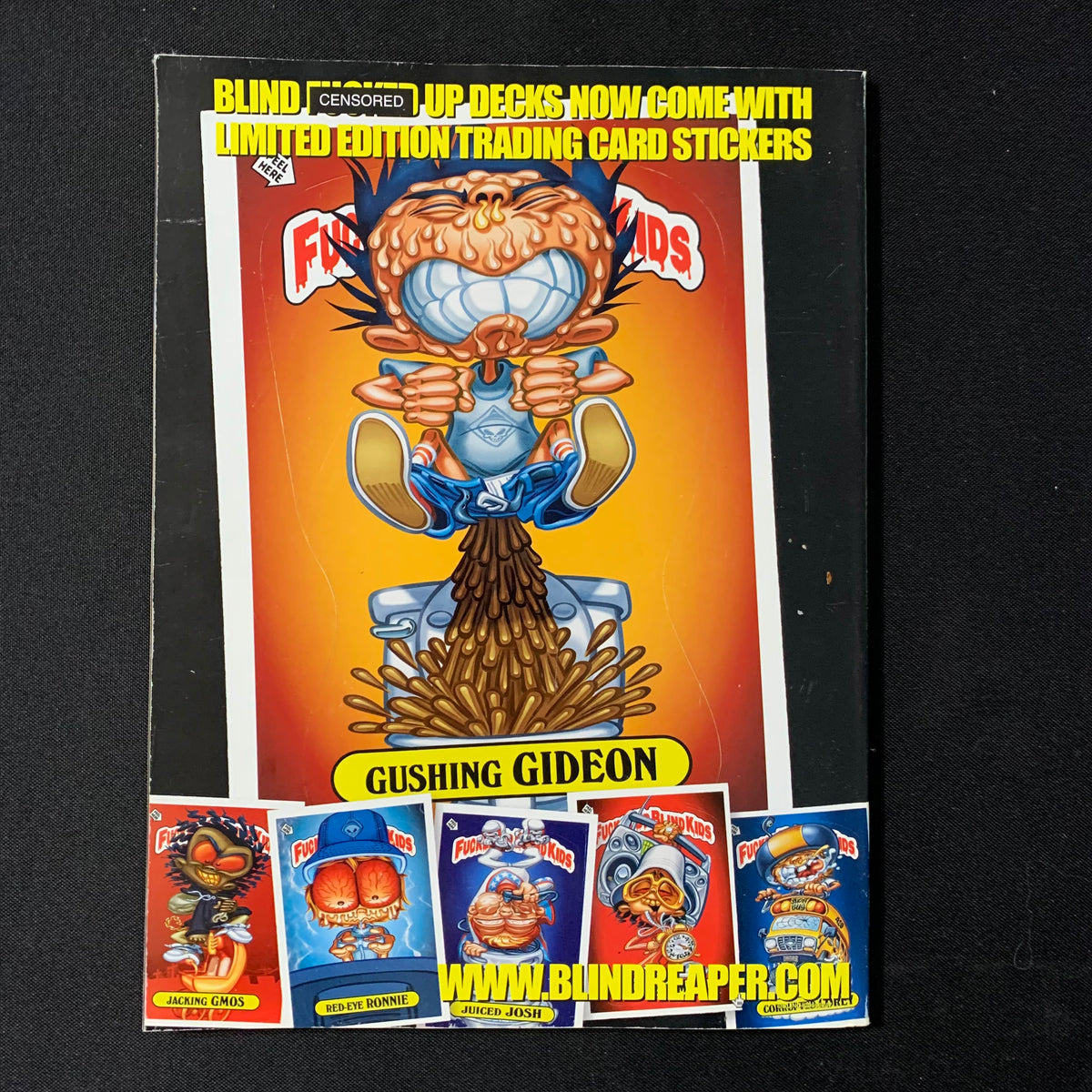MAGAZINE Big Brother Skateboarding Jan 2003 Tony Hawk, Adam Alfaro, Be ...